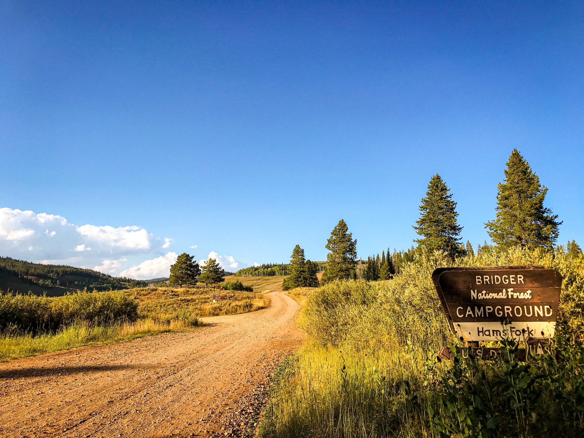5-Day Yellowstone Road Trip Itinerary: Fossil Basin, Teton & More!