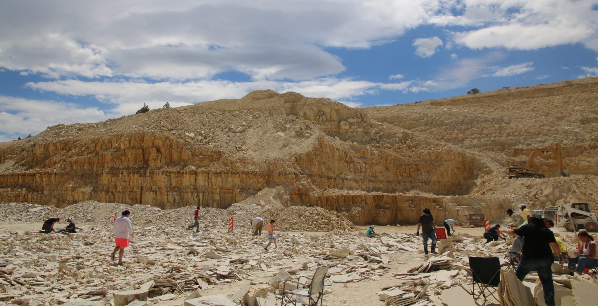 Quarry Stories: American Fossil Quarry - Fossil Basin